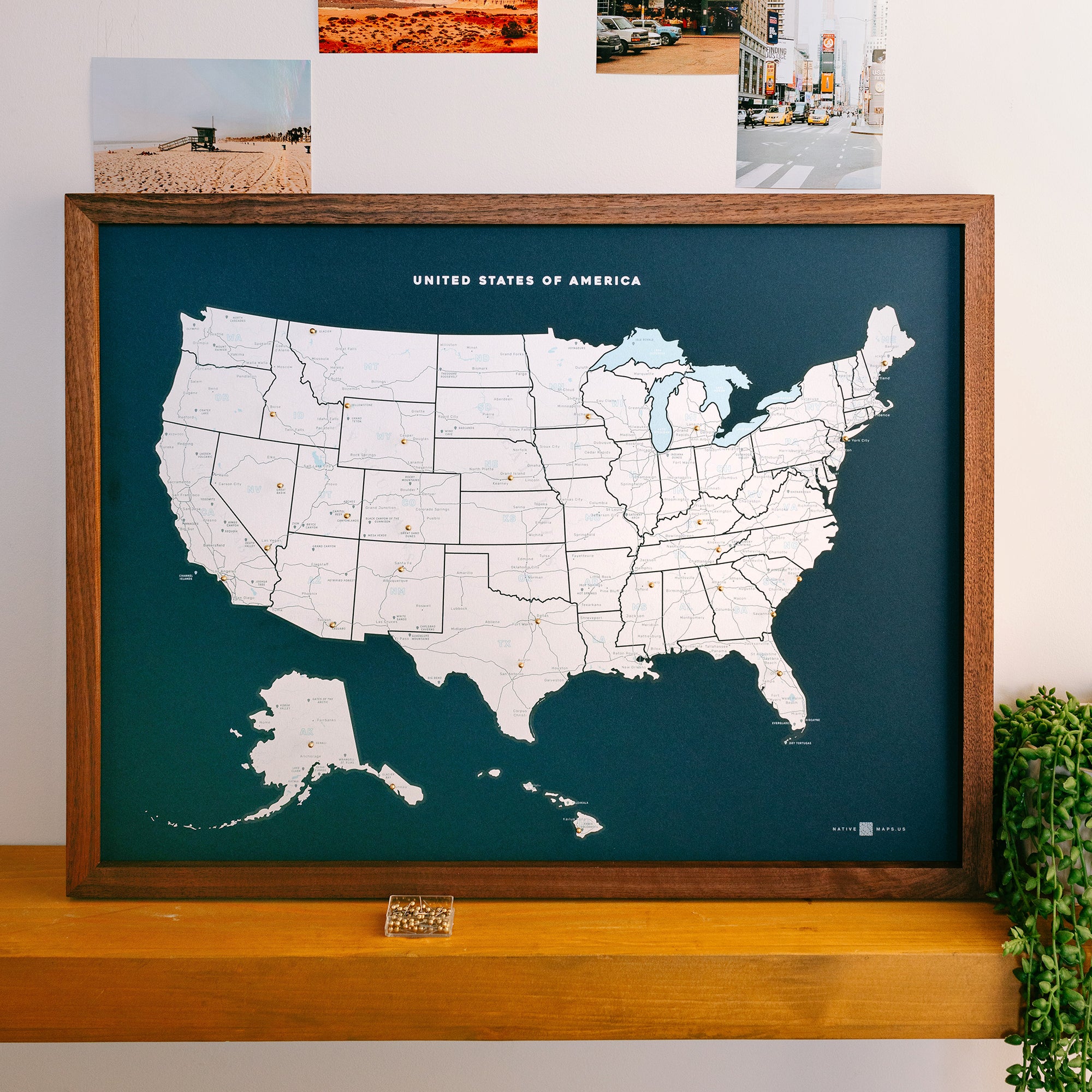 US Push Pin Map by Native Maps - Push Pin Travel Map